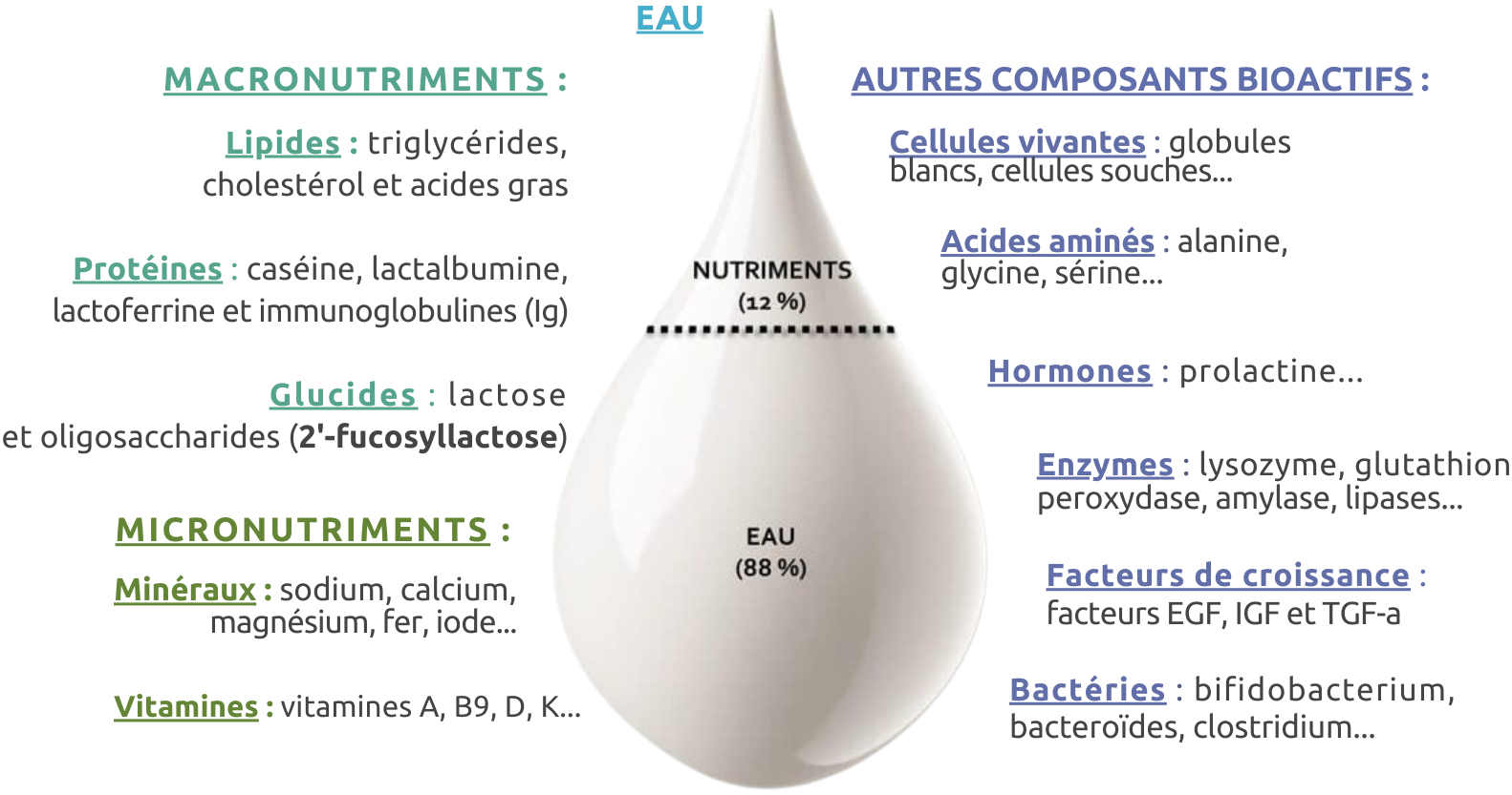 PrebioLife®: 2’-Fucosyllactose pur ≥98% – Poudre hydrosoluble